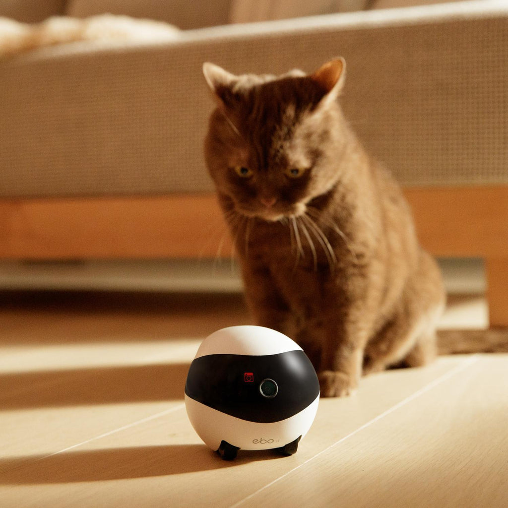 EBO SE Smart Home Moving Robot – Enabot Singapore