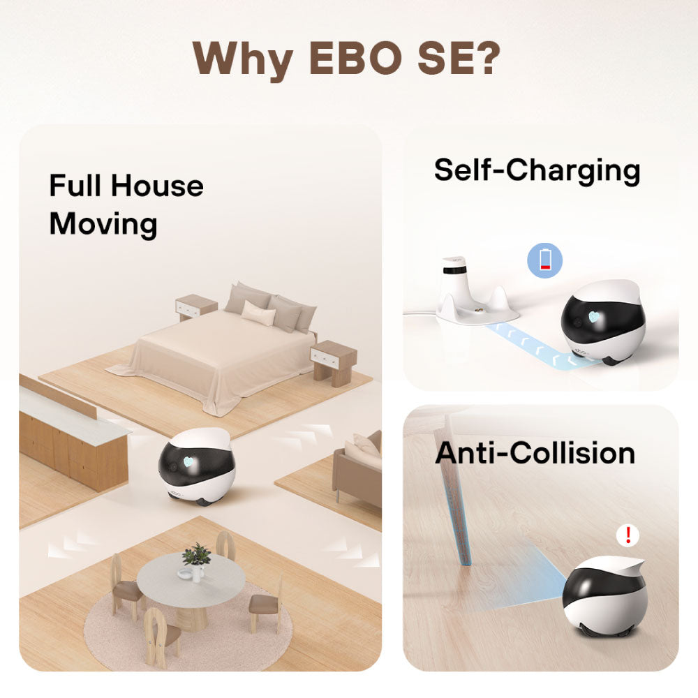 EBO SE wireless camera robot – Enabot Singapore