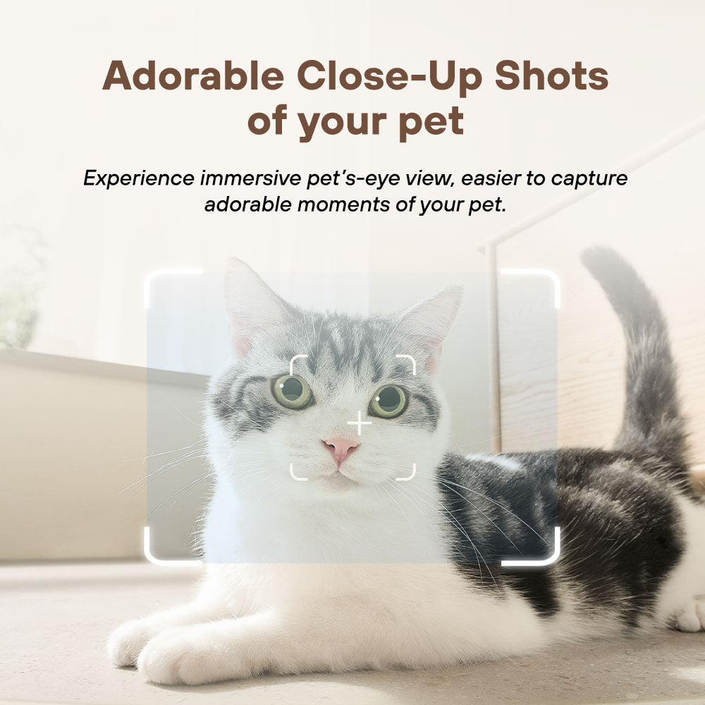 EBO SE wireless camera robot – Enabot Singapore