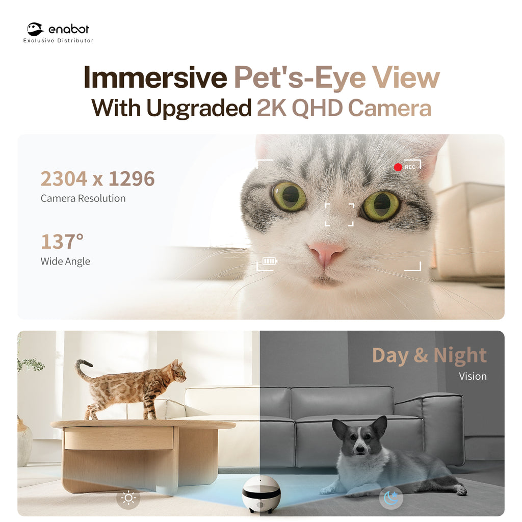 Enabot EBO ROLA Mini 2K Camera Robot – Enabot Singapore