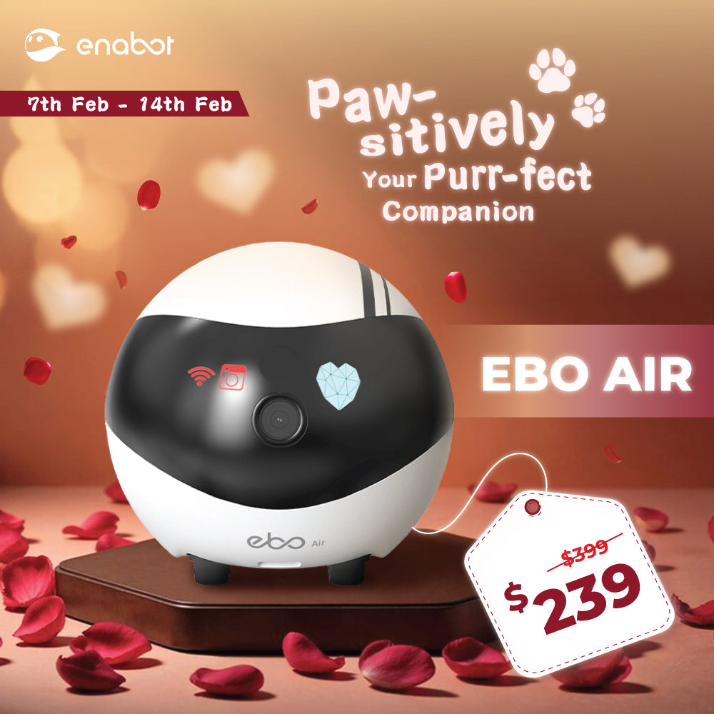 EBO Collection – Enabot Singapore